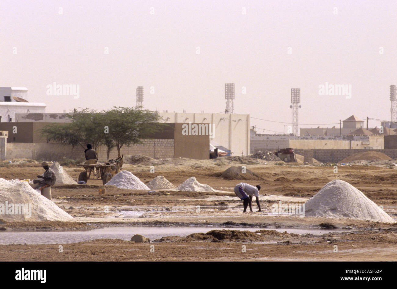 Mauritanian men nouakchott mauritania hi-res stock photography and ...