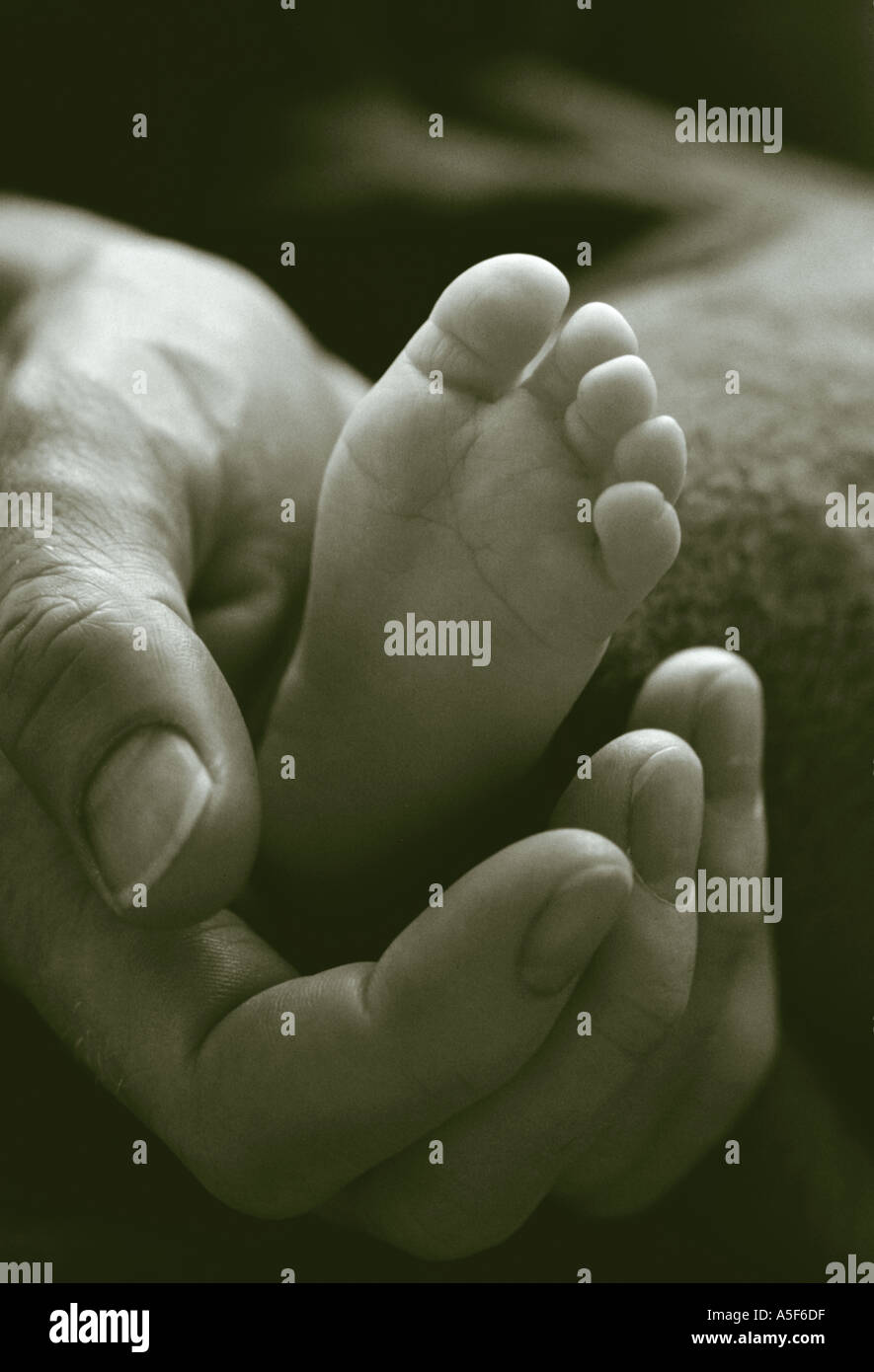 Enclosed hand hi-res stock photography and images - Alamy