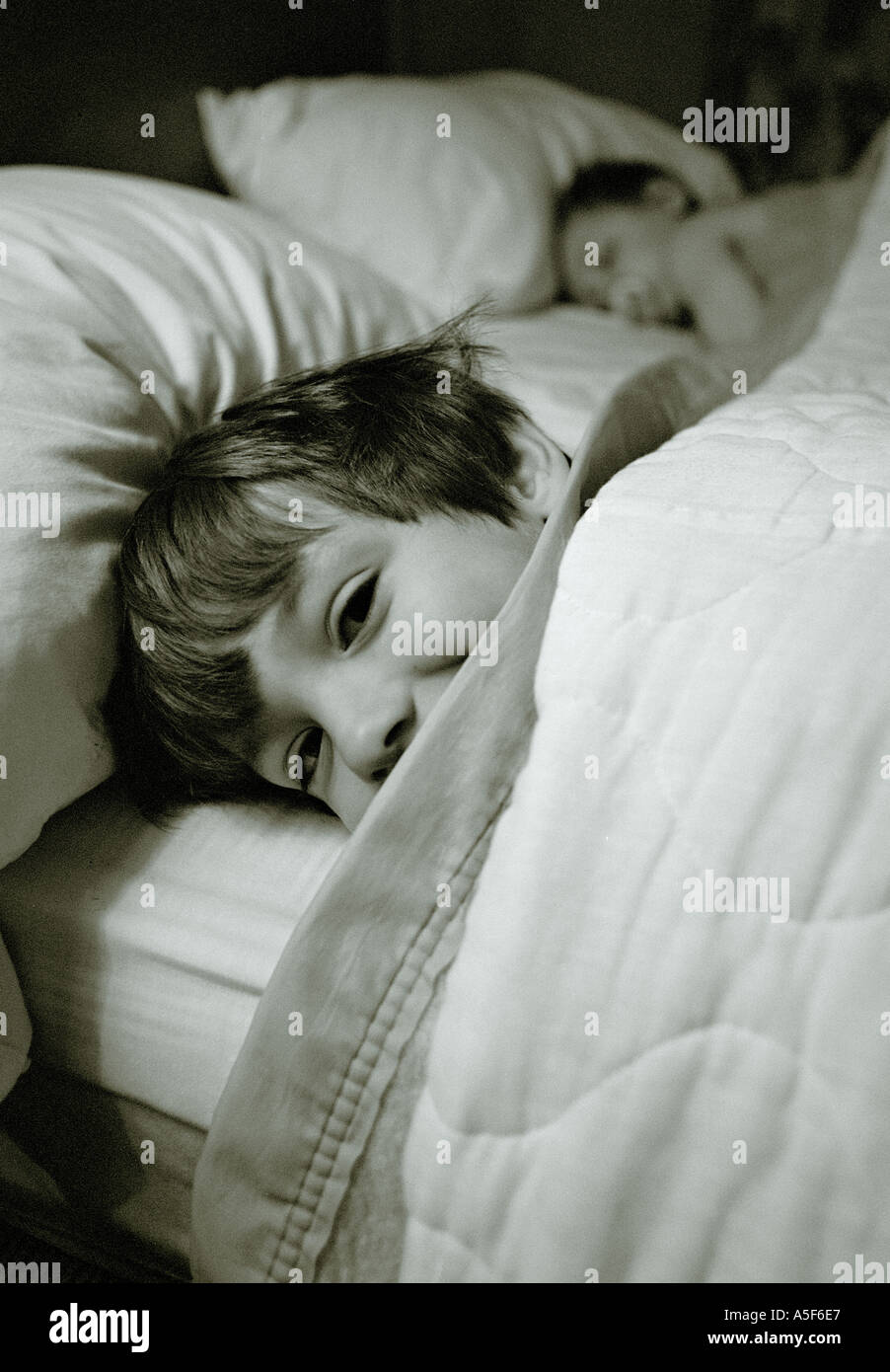 two young brothers tucked up in bed Stock Photo - Alamy