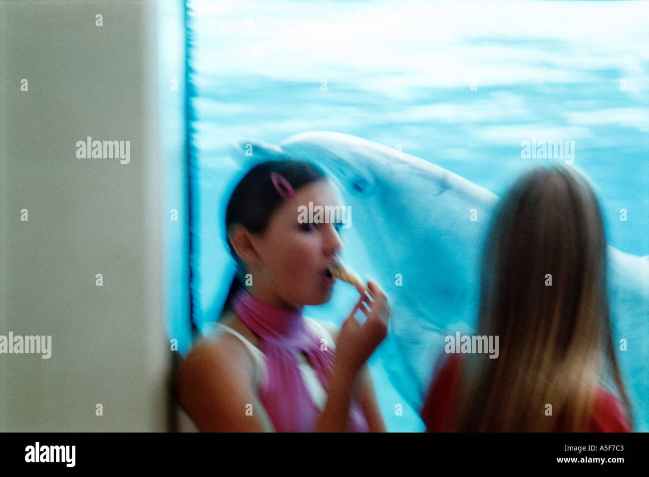 Dolphin ice cream hi-res stock photography and images - Alamy