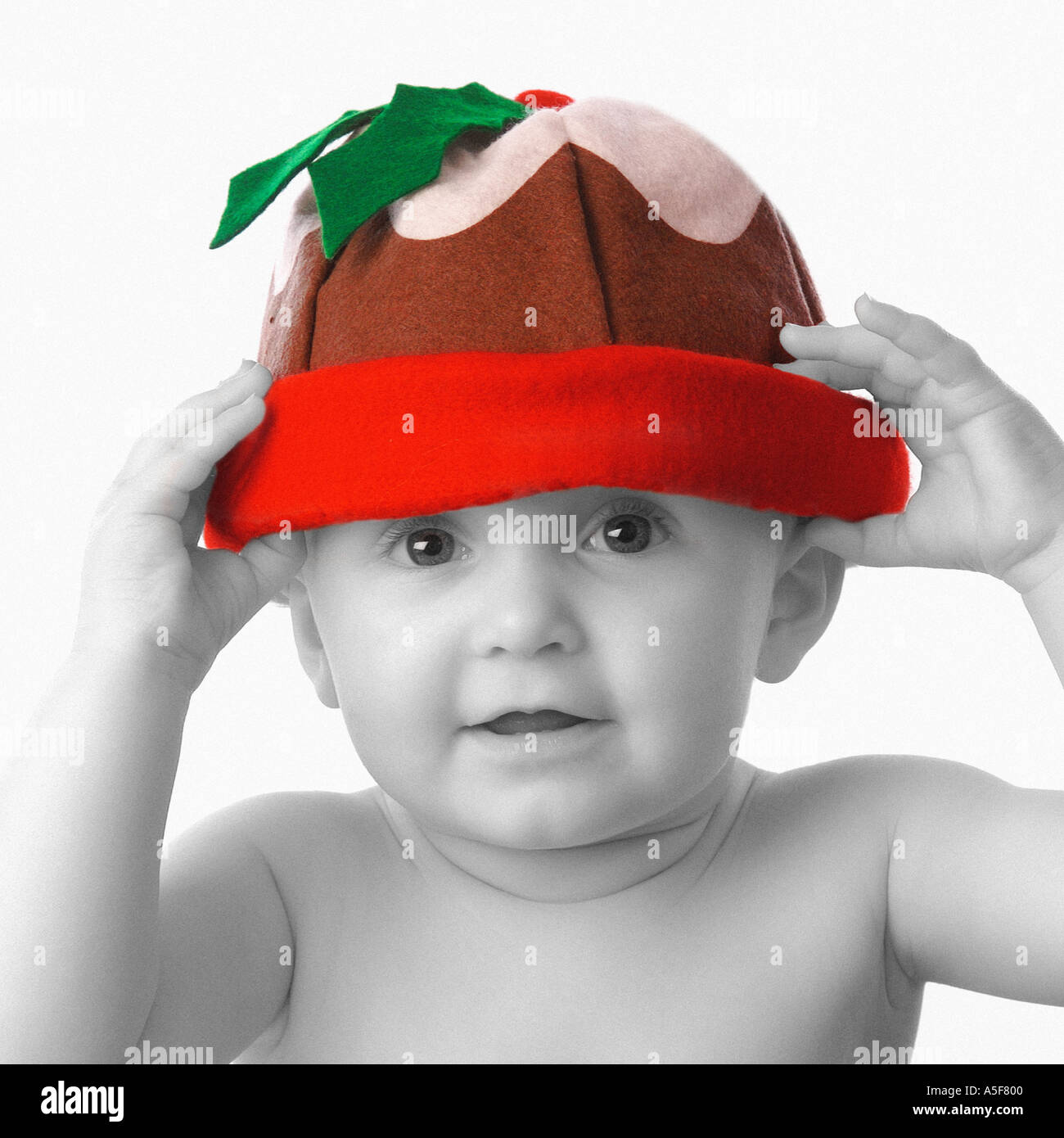 Christmas pudding hat hi-res stock photography and images - Alamy