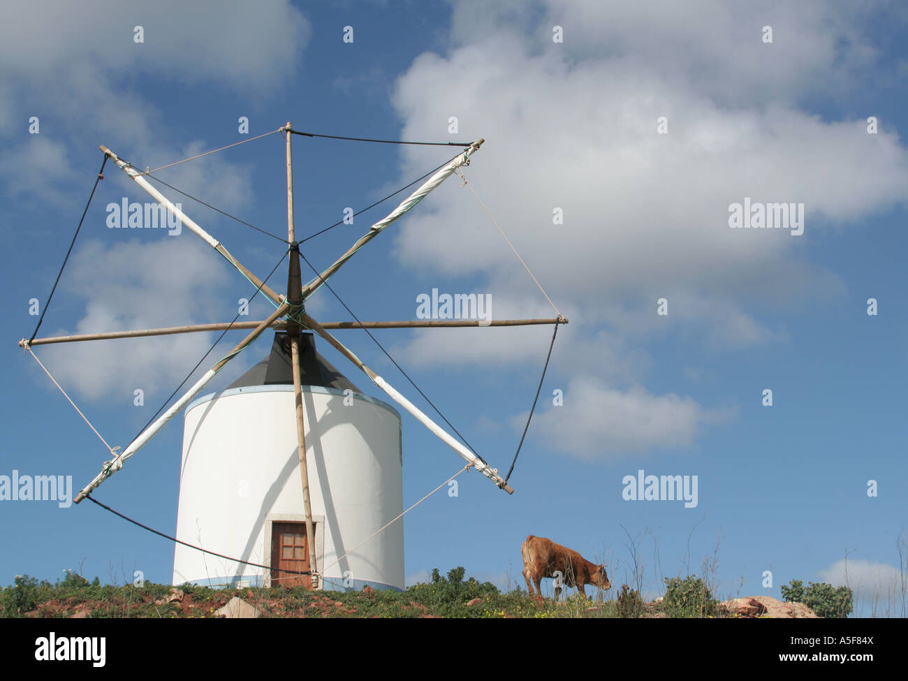 traditional windmill Algarve Portugal Stock Photo - Alamy