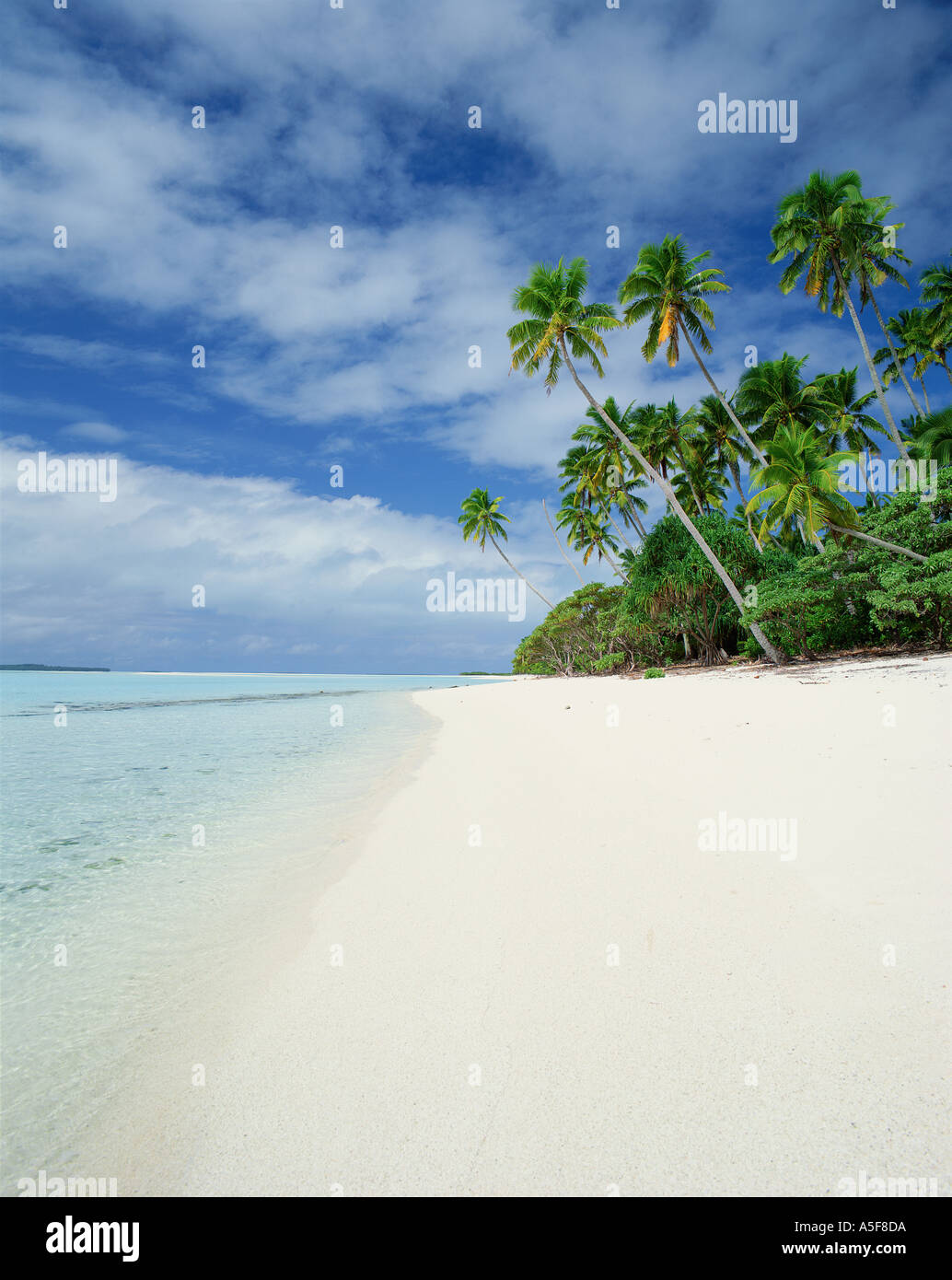Tropical beach in the Cook Islands in the South Pacific Ocean Stock ...