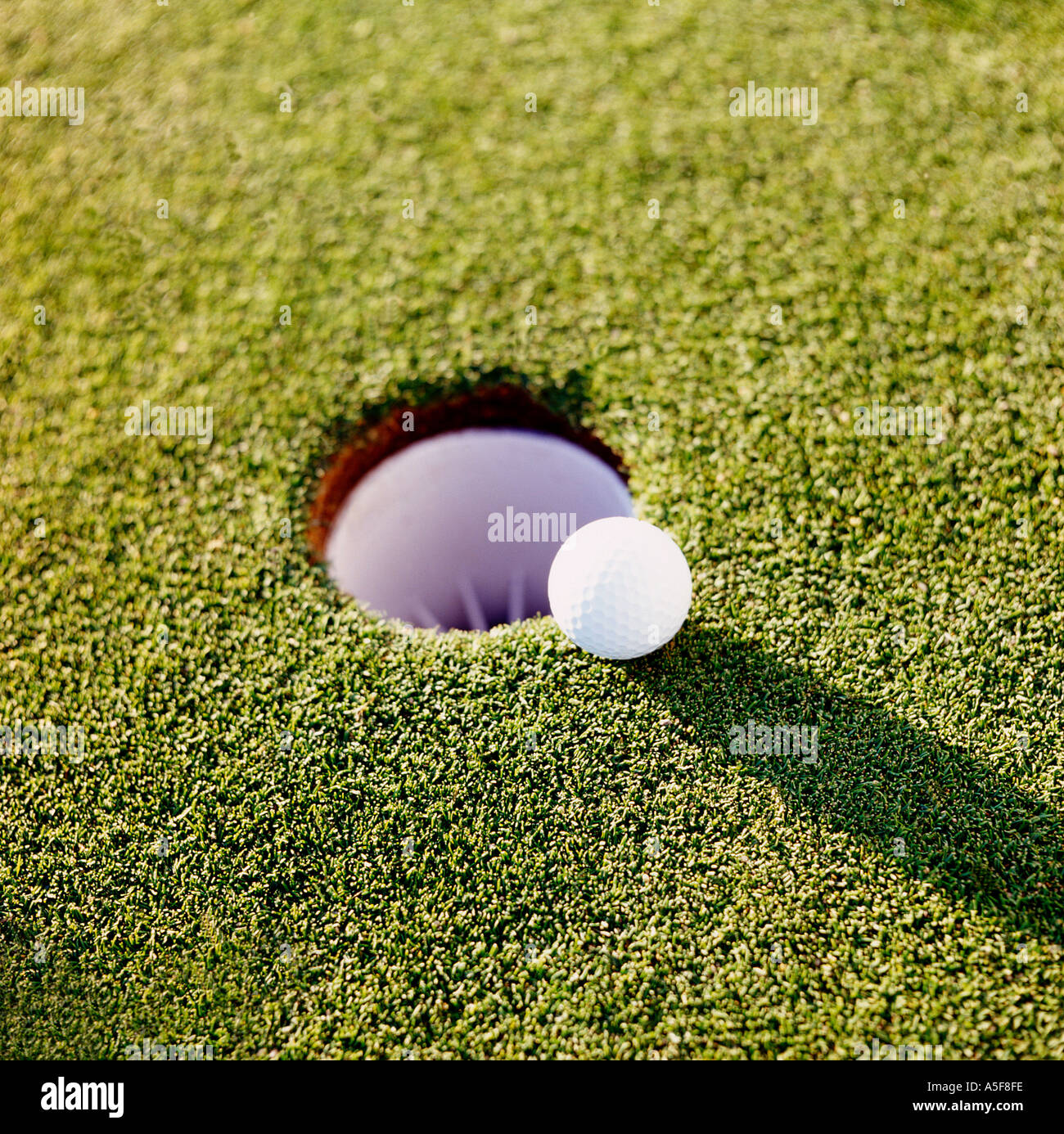 Hole in one golf ball in the cup hi-res stock photography and images ...