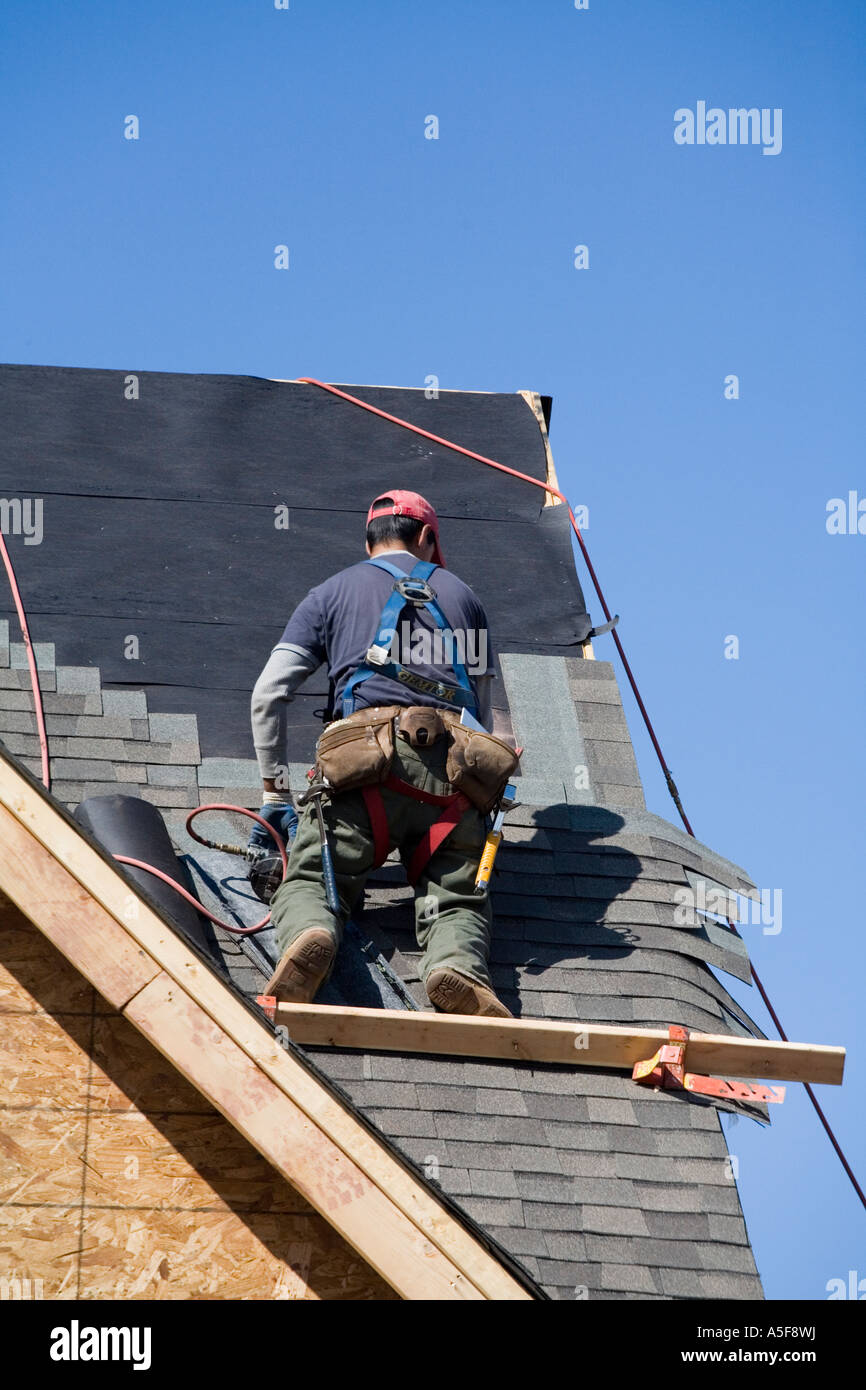 Immigrant Worker Installing Roof Shingle Stock Photo - Alamy