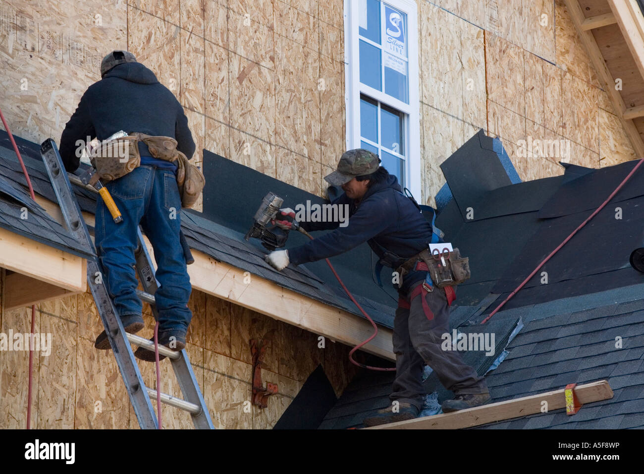 Immigrant Worker Installing Roof Shingle Stock Photo - Alamy