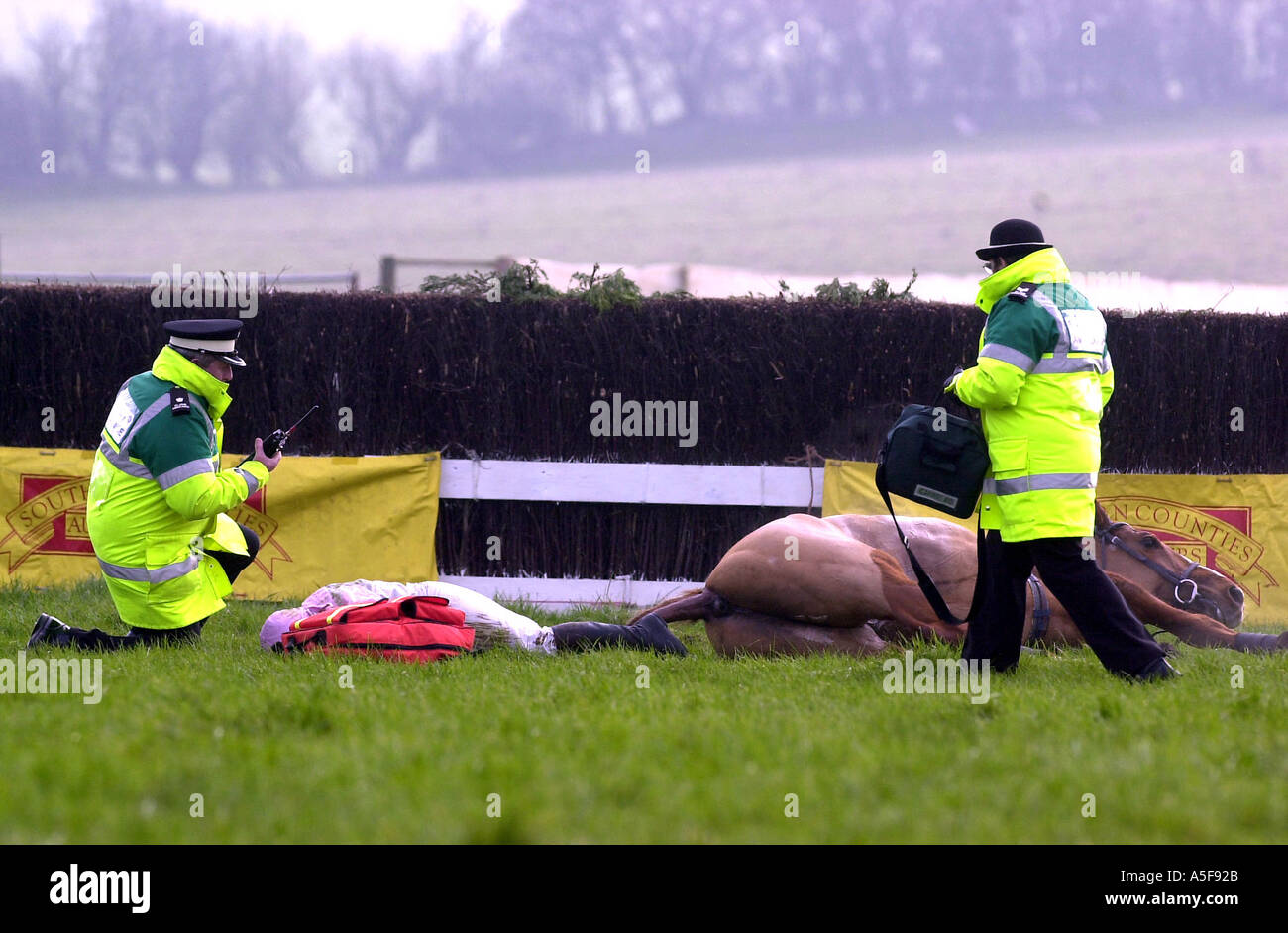 A fallen horse and rider at a Point to Point The horse was destroyed ...