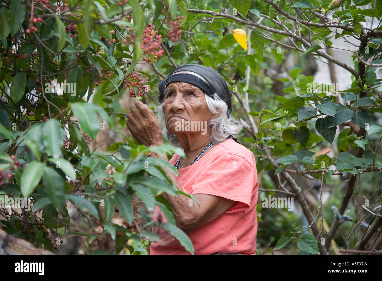 native mexican woman Stock Photo - Alamy