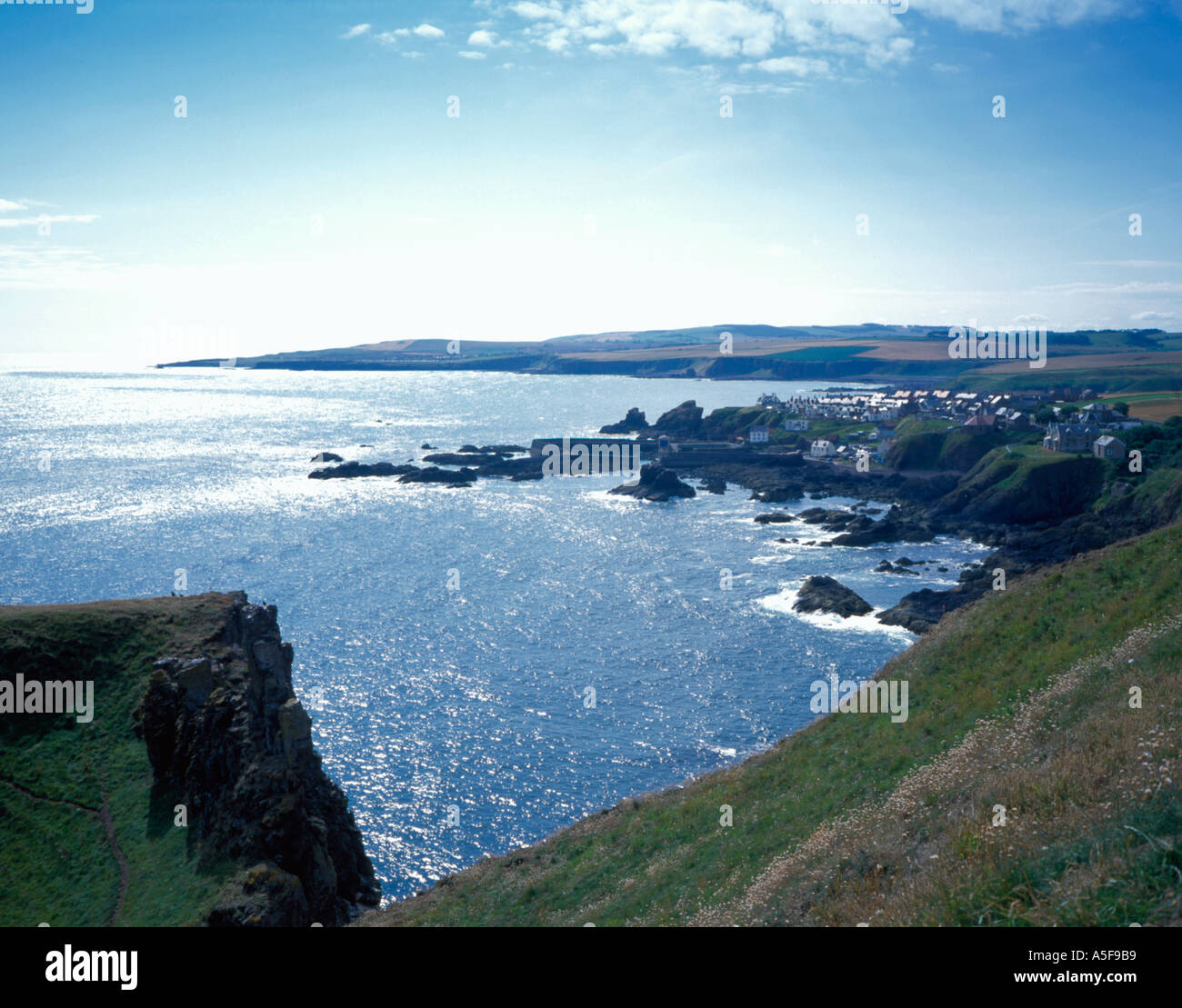 St Abbs village seen from the cliffs of St Abbs Head, Borders Region ...