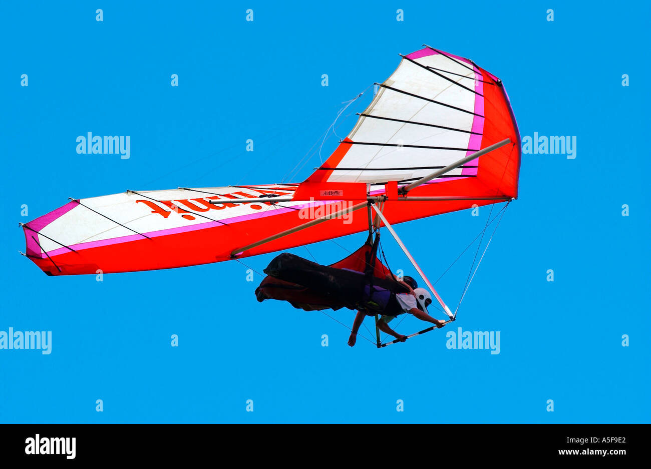 Hang Gliders in Flight over Byron Bay Australia Stock Photo - Alamy