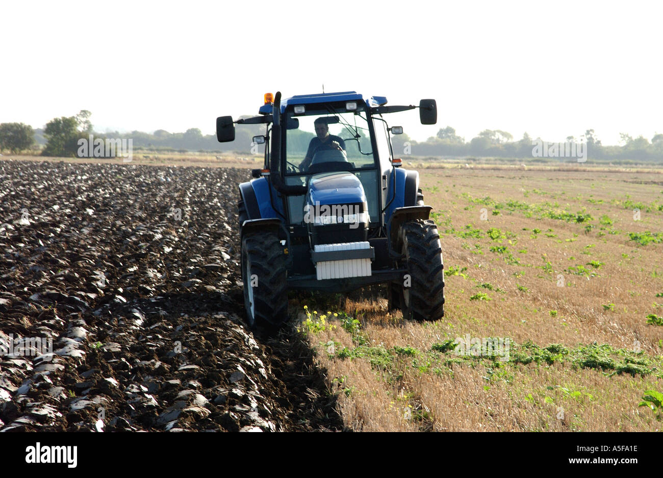 Tractor ploughing and planting wheat crops hi-res stock photography and ...