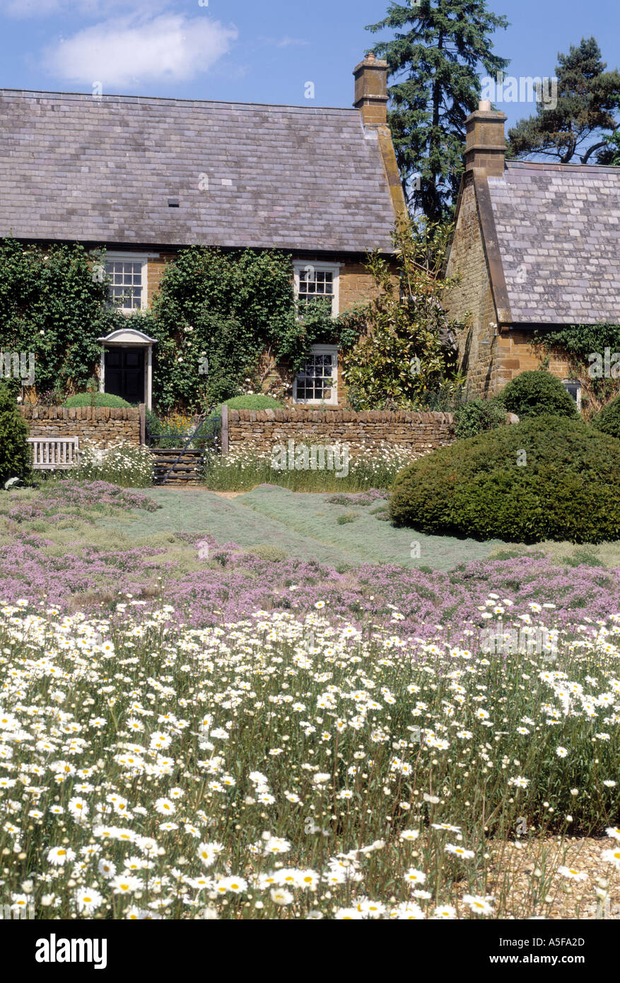 Daisies and cottage garden hi-res stock photography and images - Alamy