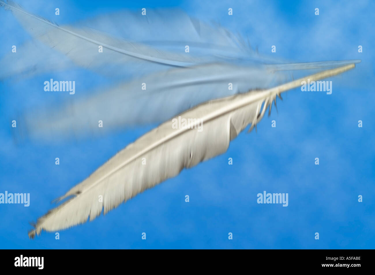 Gravity falls logo hi-res stock photography and images - Alamy