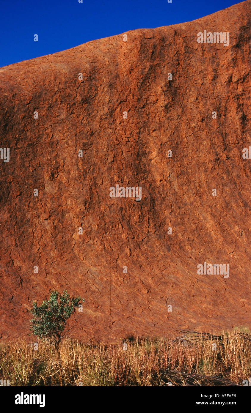 Ayers rock wave formation Australia NT Northern Territories Stock Photo ...
