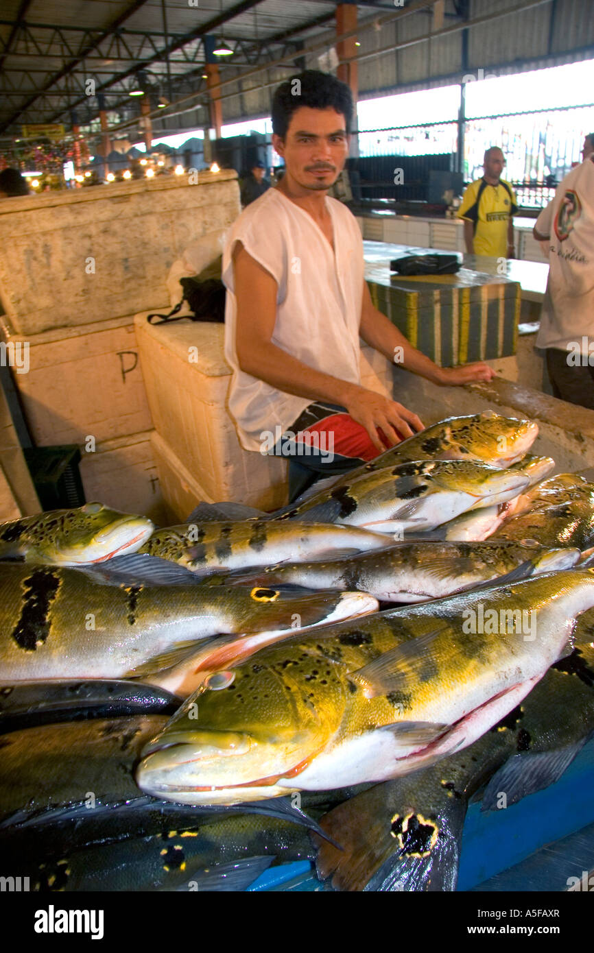 A vendor selling peacock bass at a fish market in Manaus Brazil Stock ...