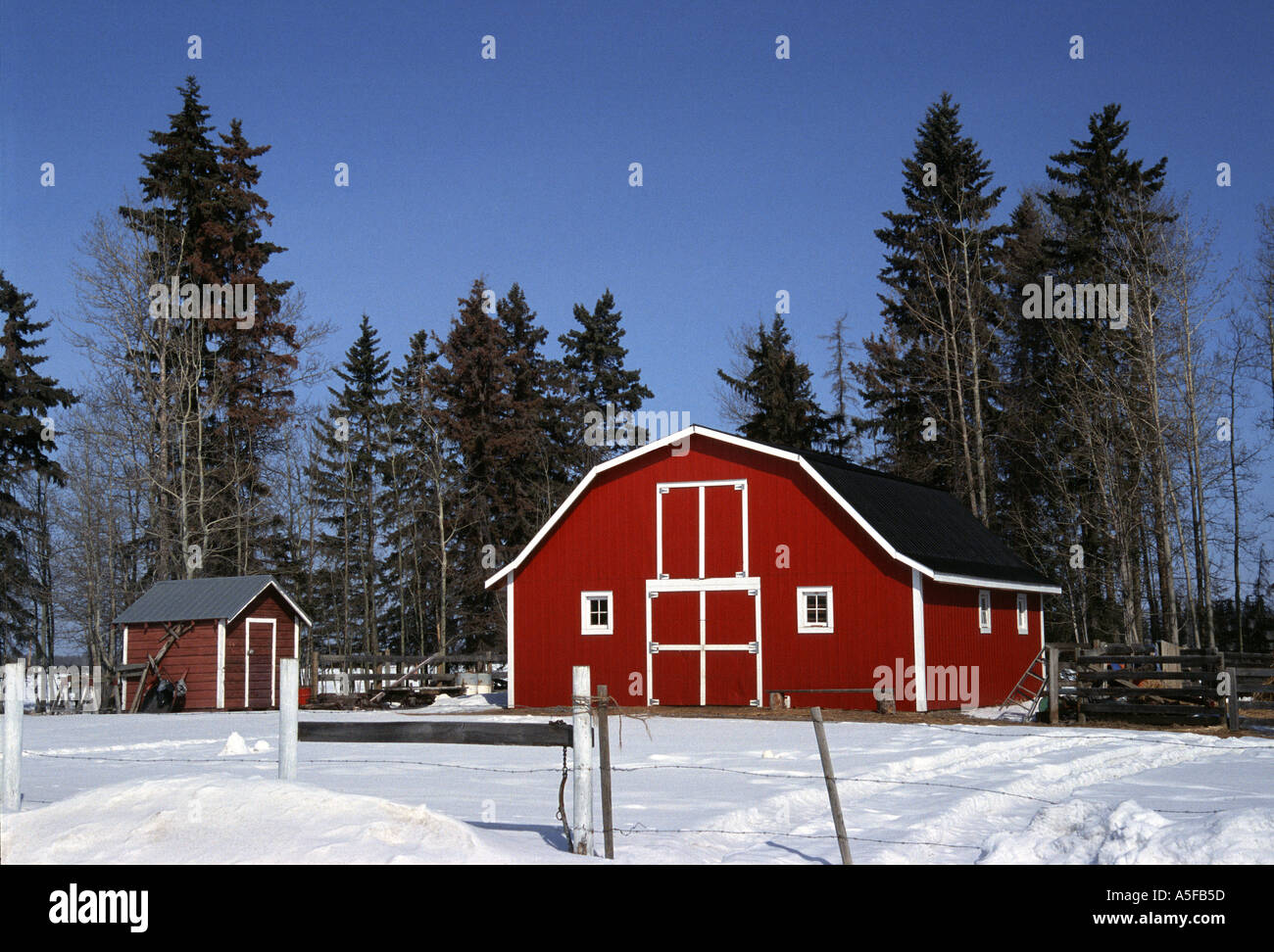 Red Barn Alberta Canada Stock Photo - Alamy