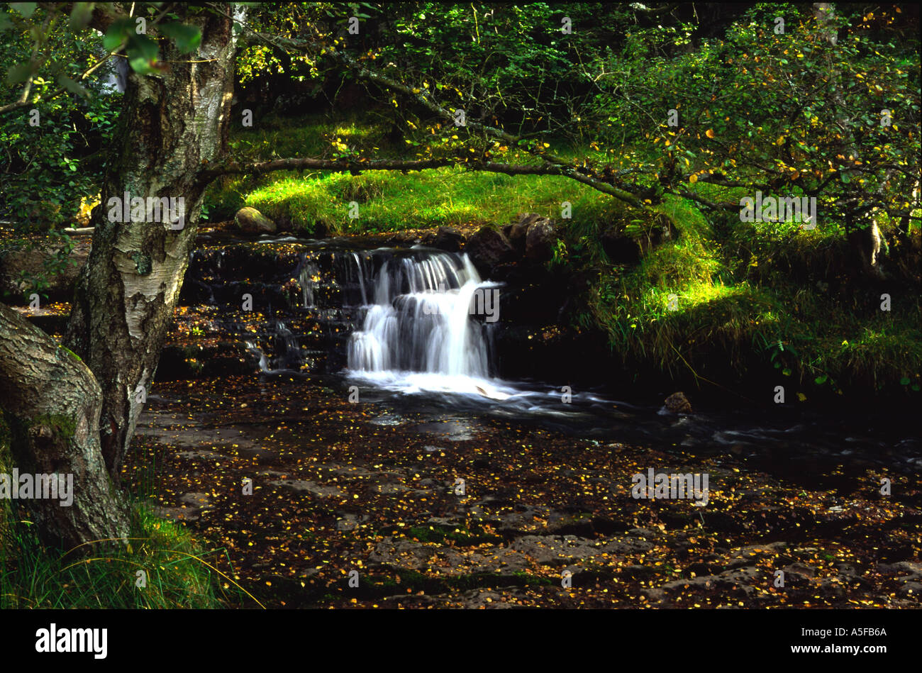 Yokshire dales waterfall hi-res stock photography and images - Alamy