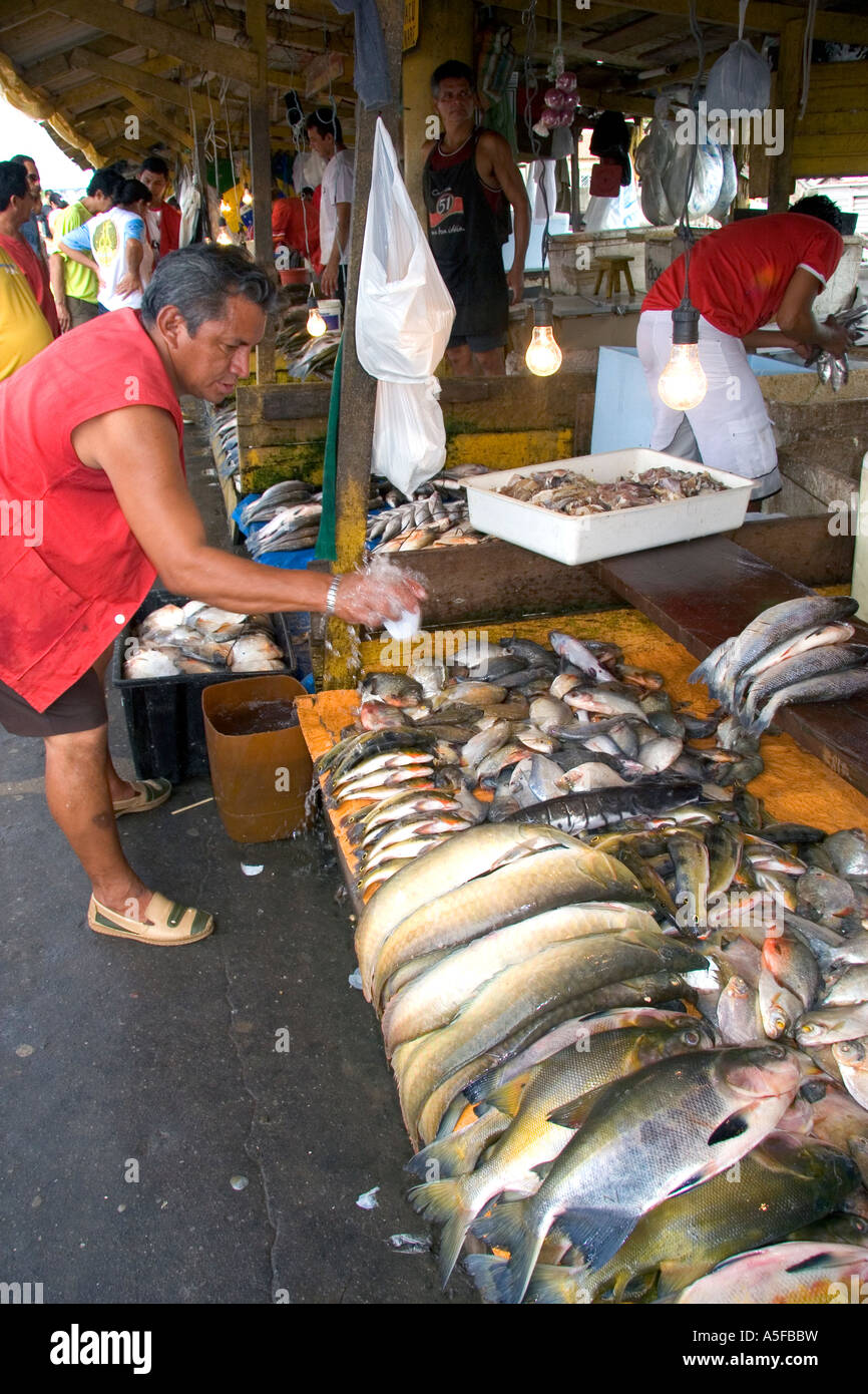 Vendors selling fish at a market in Manaus Brazil Stock Photo - Alamy