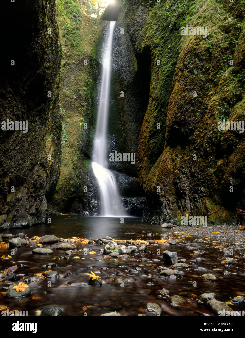 Oneonta falls columbia river gorge Oregon Stock Photo - Alamy