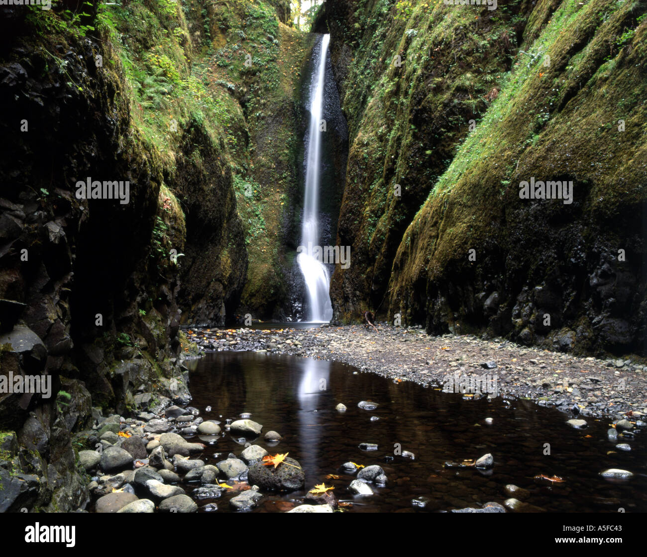 Oneonta creek oneonta gorge hi-res stock photography and images - Alamy