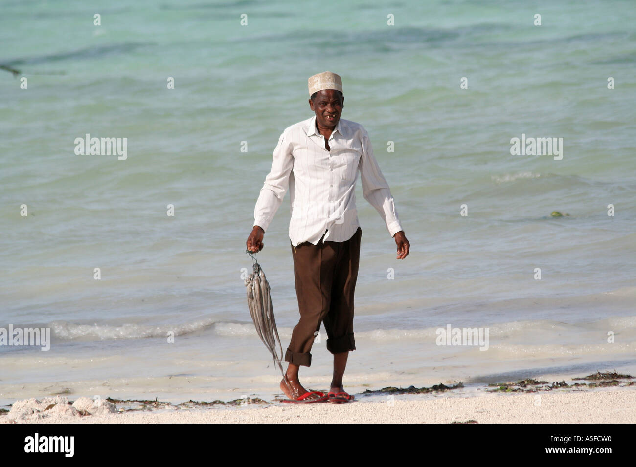 Zanzibar: man carrying a squid on the white sand beach on the east ...