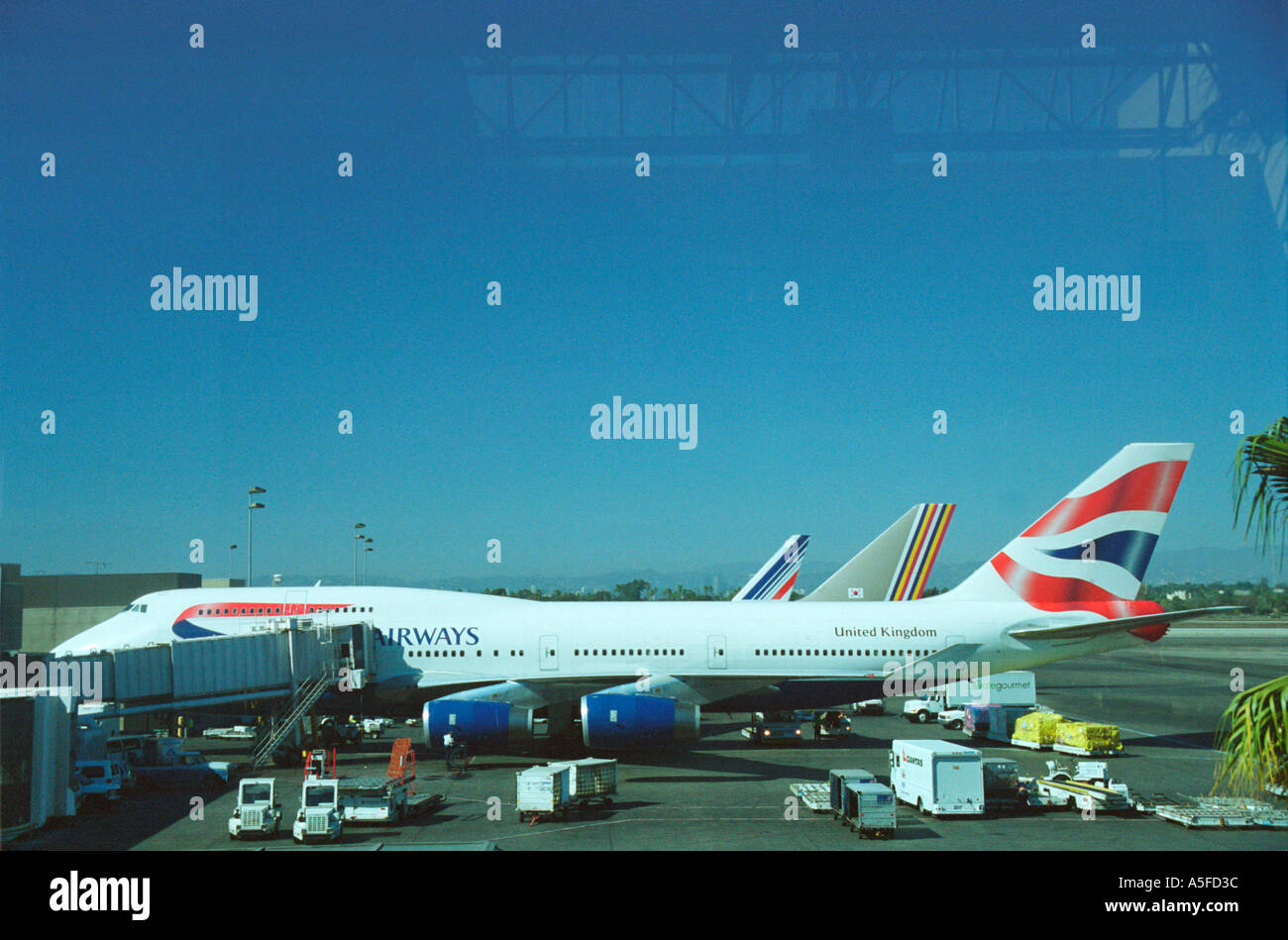 Sunny lax hi-res stock photography and images - Alamy