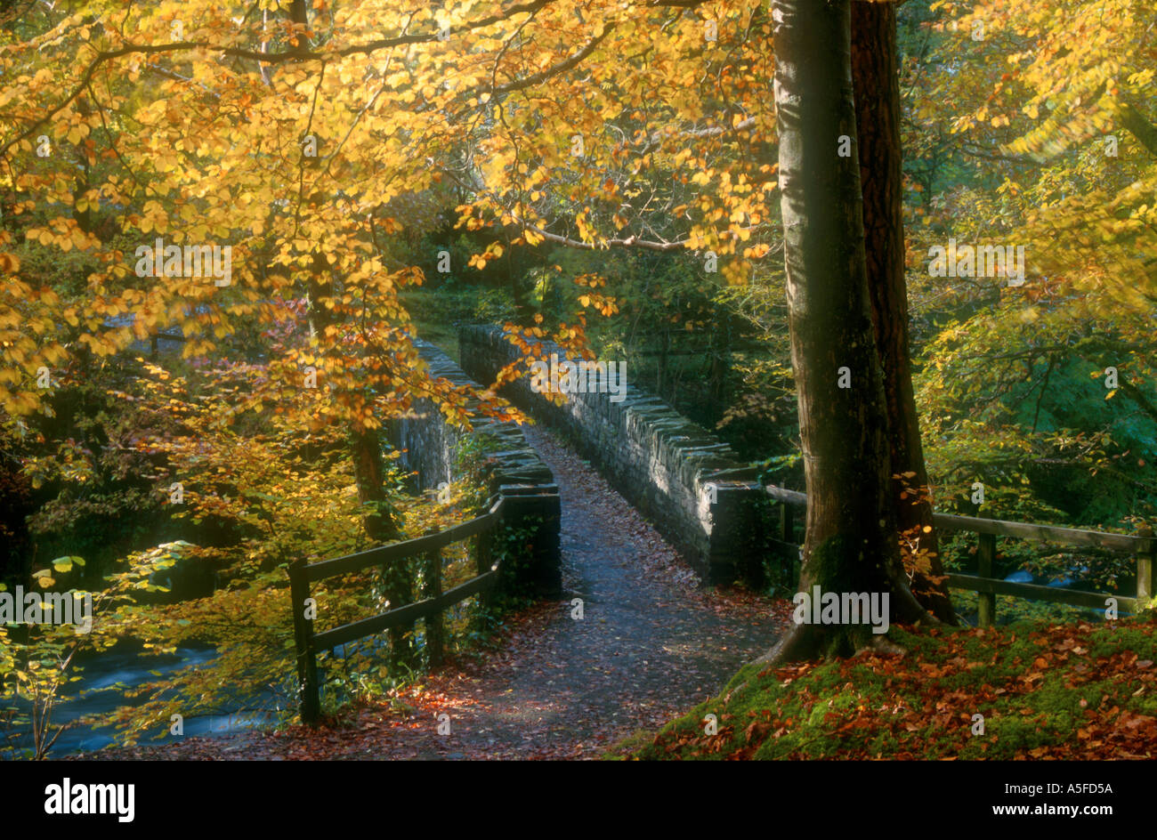 Clappersgate in the Lake District Cumbria England Autumn Colours Stock ...