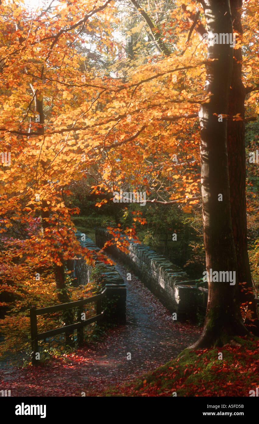 Clappersgate in the Lake District Cumbria England Autumn Colours Stock ...