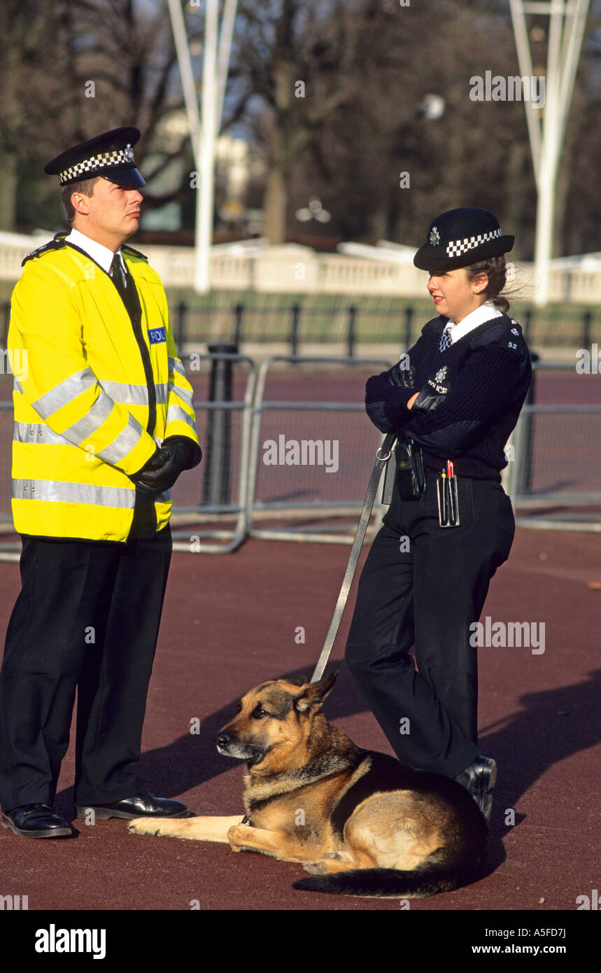 British police dog hi-res stock photography and images - Alamy