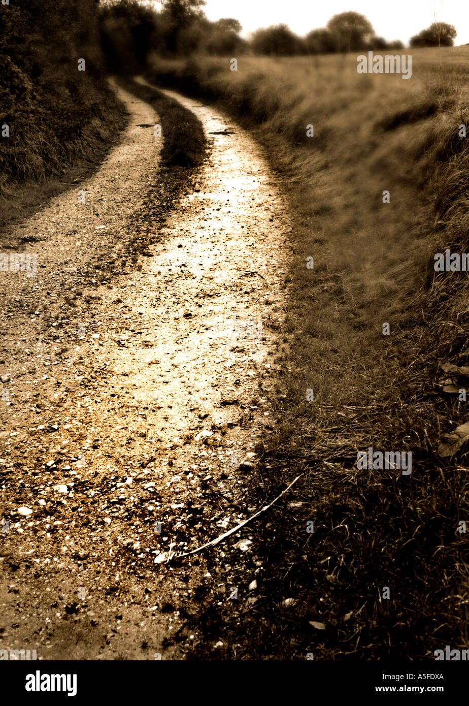 Moddy track hi-res stock photography and images - Alamy Moddy track hi-res stock photography and images - Alamy