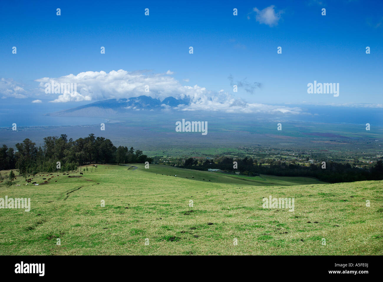 Landscape of Poli Poli Upcountry Maui Hawaii USA Stock Photo - Alamy