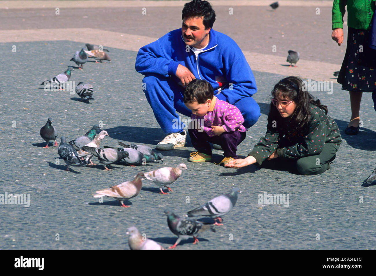Children with pigeons hi-res stock photography and images - Alamy