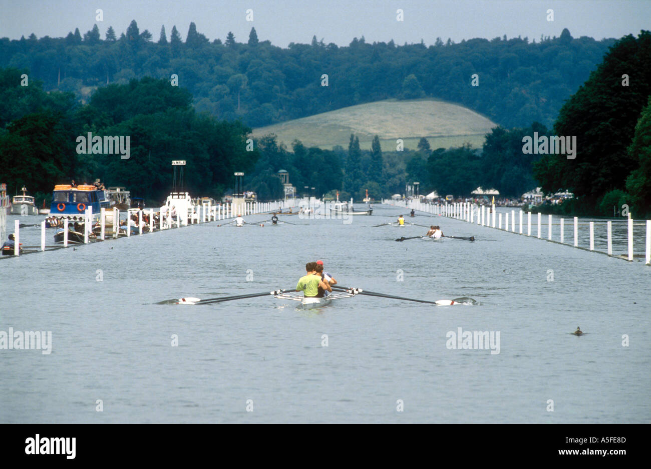 Henley Royal Regatta at Henley on Thames River Thames Oxfordshire ...