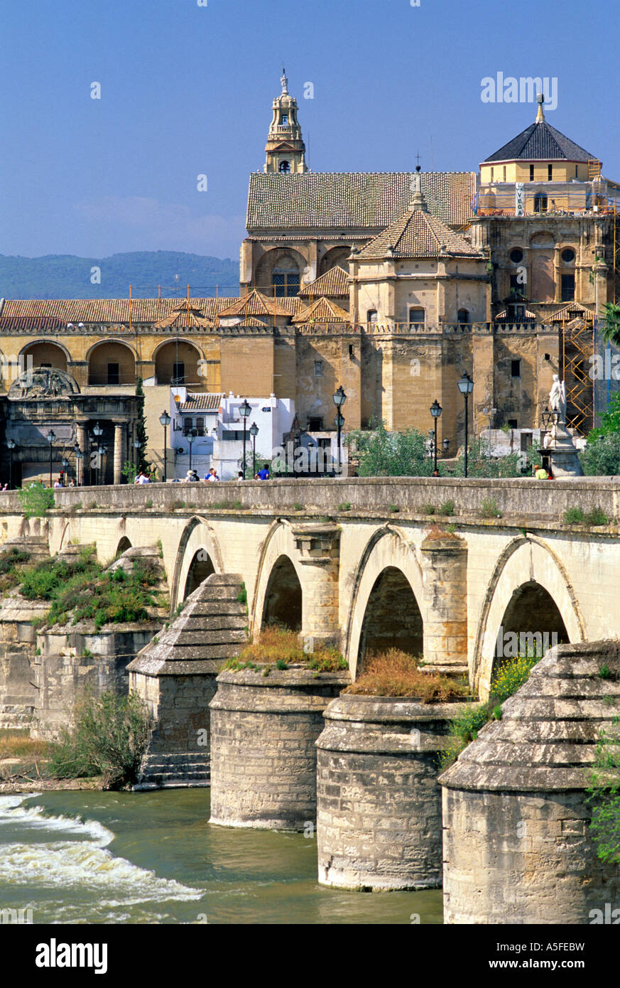 Bridge language hi-res stock photography and images - Alamy