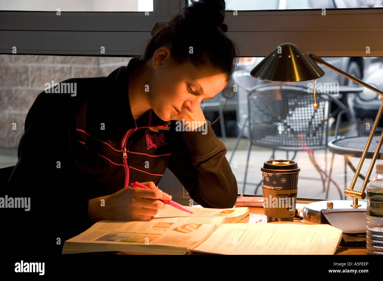 Female college student studying at a coffee shop in Boise Idaho Stock ...