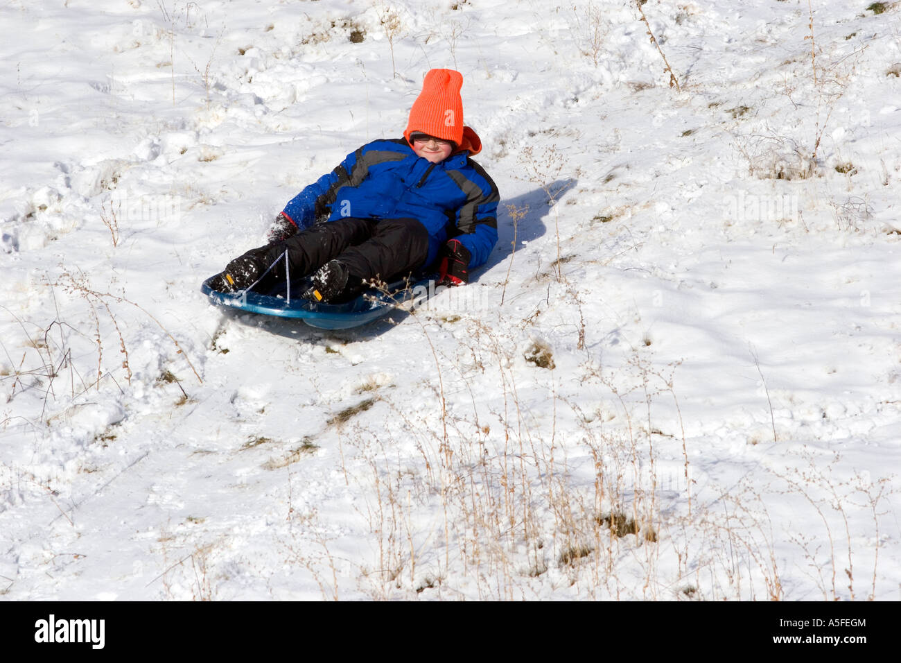 Boy sledding down a snow covered hill in Idaho Stock Photo - Alamy