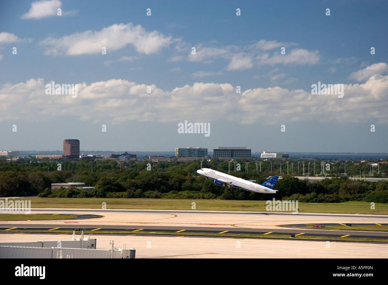 Airbus 320 airplane taking off from the Tampa International Airport ...
