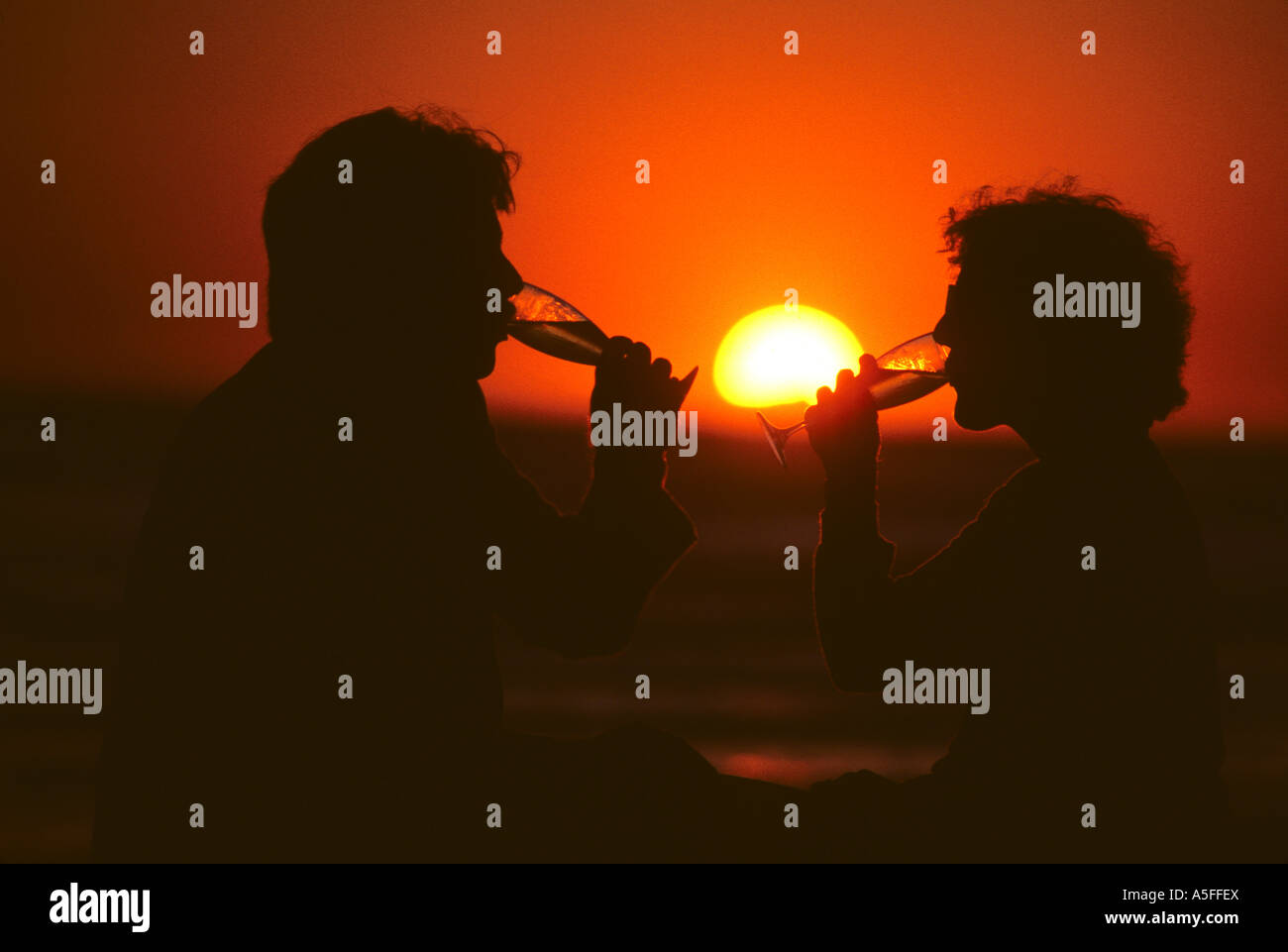 A couple sharing a toast at sunset in Florida Stock Photo - Alamy