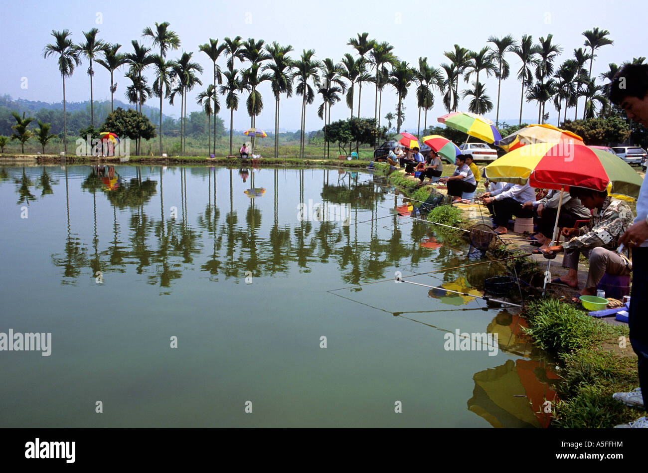 Fishing in Taiwan at a pay to fish pond Stock Photo - Alamy