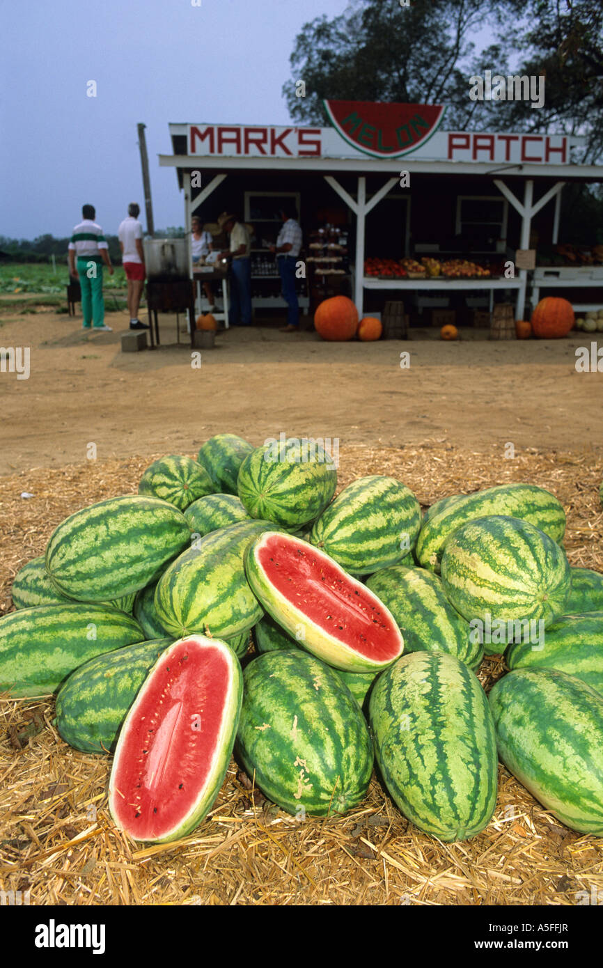 Watermelon being sold at a fruit stand in rural Georgia Stock Photo - Alamy