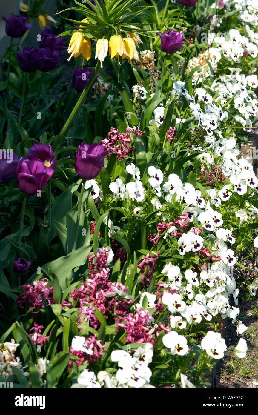 Mix of flowers Stock Photo - Alamy