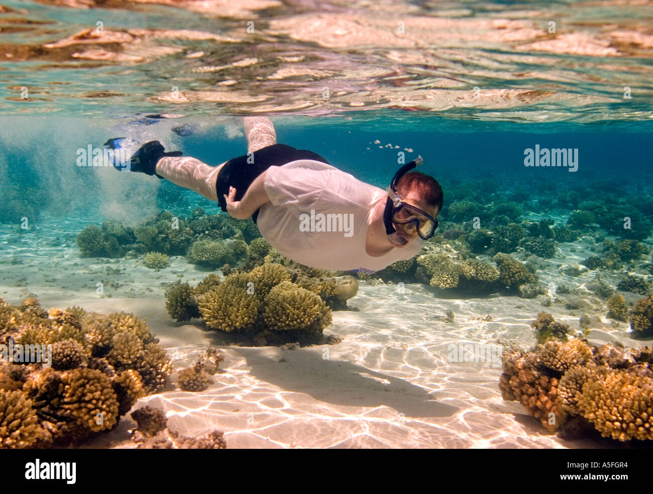 Sharm el sheikh diving and snorkelling hi-res stock photography and ...