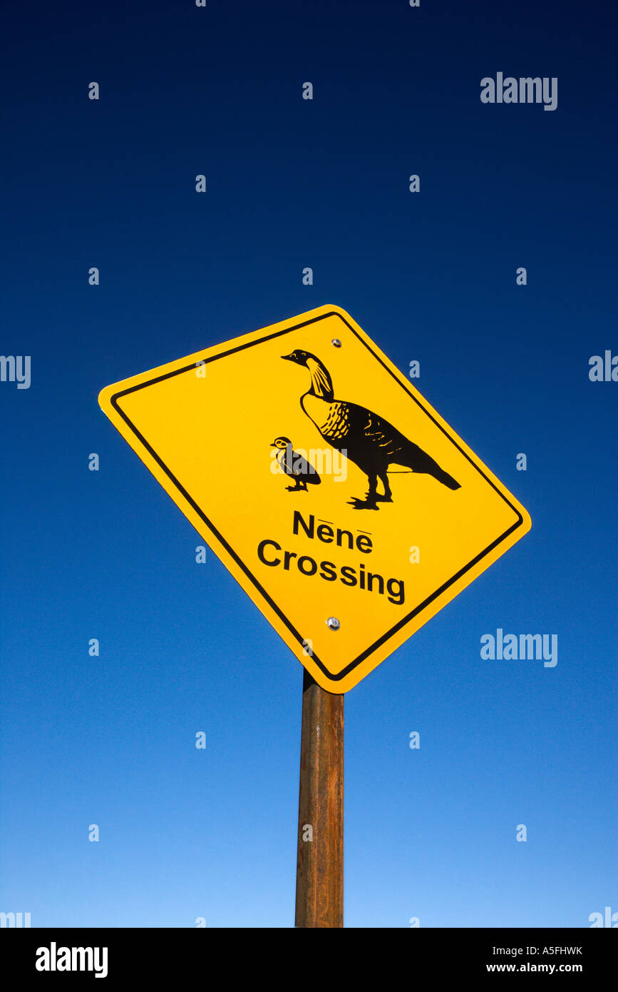 Shot of Nene Crossing road sign in Haleakala National Park Maui Hawaii ...