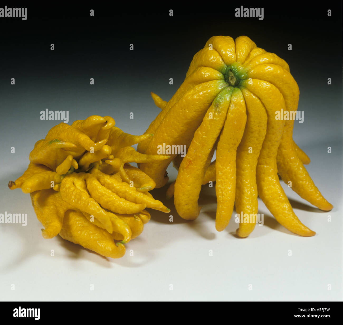 Medica hi-res stock photography and images - Alamy