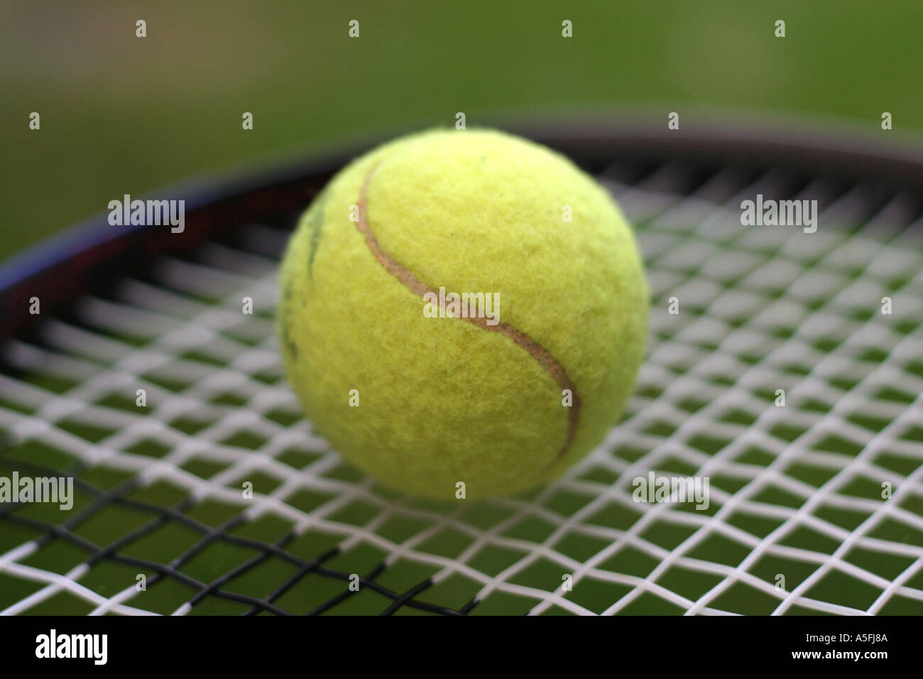 Tennis racket and ball Stock Photo - Alamy