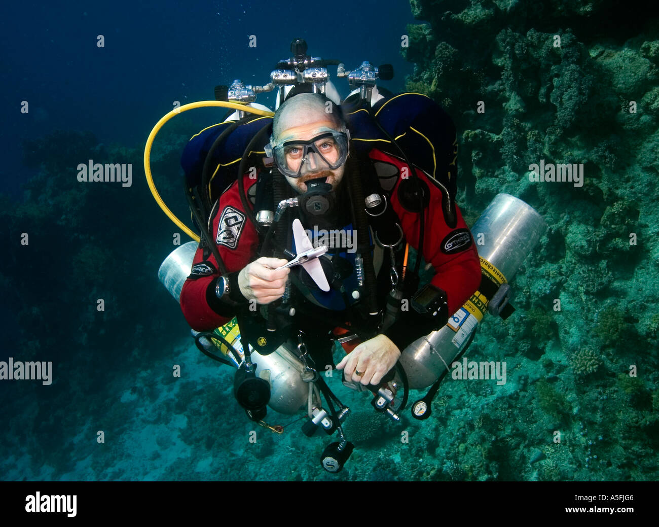 Mark andrews hi-res stock photography and images - Alamy