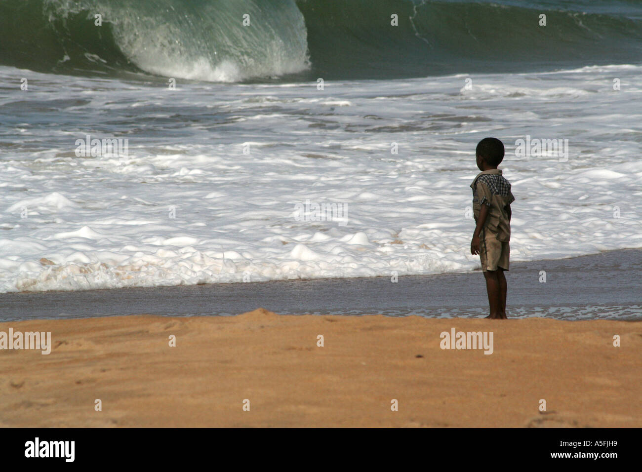 Manakara madagascar hi-res stock photography and images - Alamy