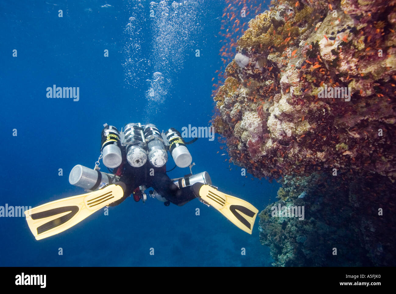 Leigh Cunningham in preparation for the world record deepest Wreck dive Yolanda reef Sharm Egypt ...