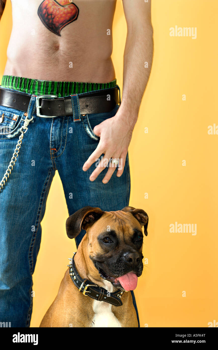 Young adult Caucasian male with Boxer dog Stock Photo - Alamy