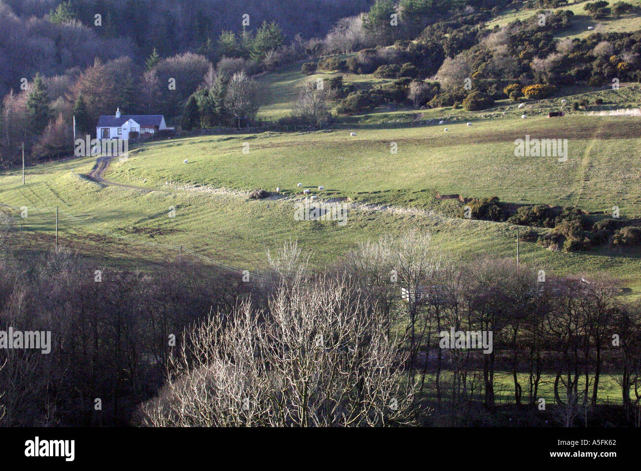 Farmhouse in Scotland Stock Photo - Alamy